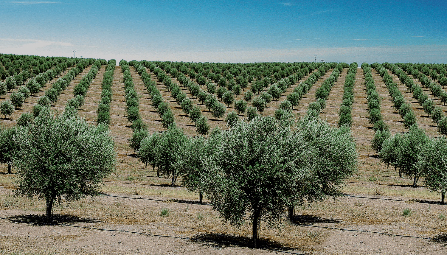Amont agricole - Lesieur Cristal Lesieur Cristal-Amont Agricole
