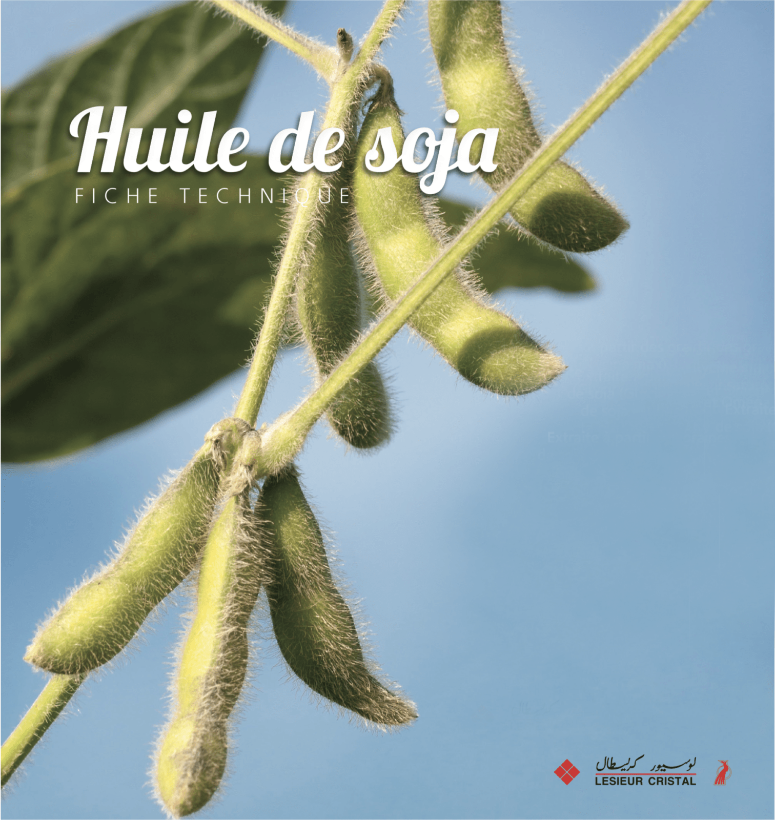 Huile de soja - Lesieur Cristal