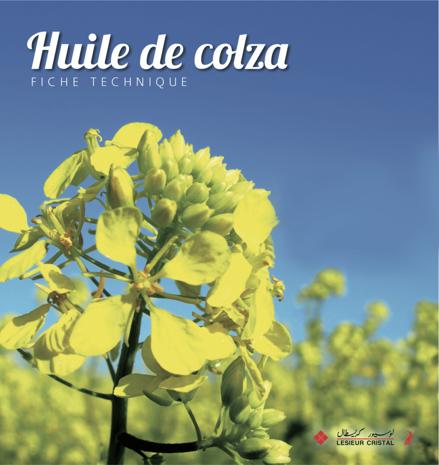 Huile de colza - Lesieur Cristal